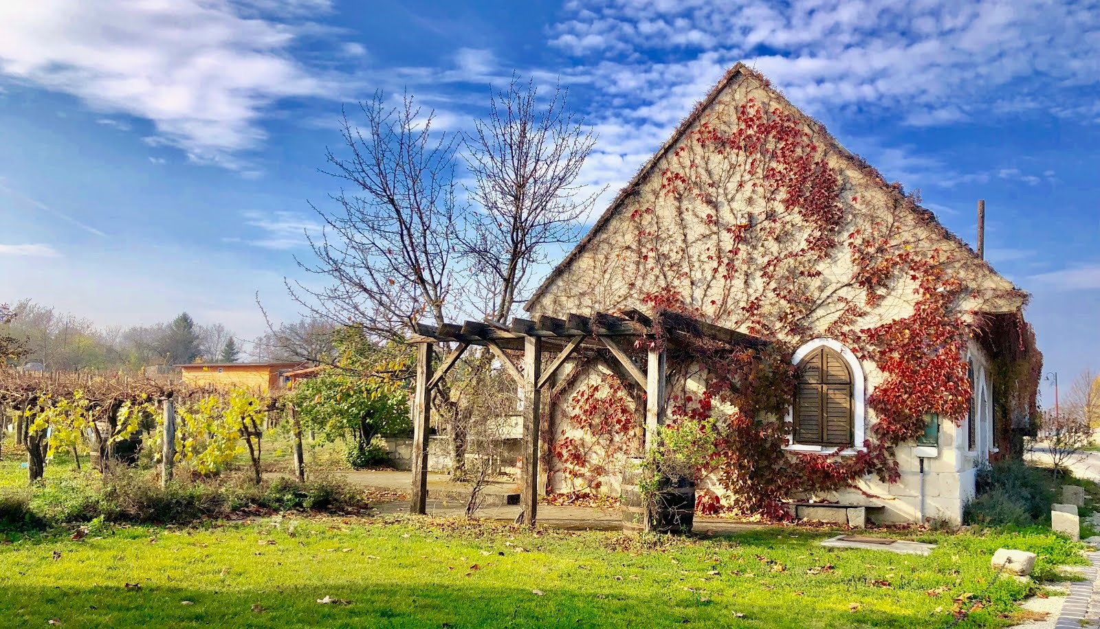 Lesser-Known Wine Regions and Their Unique Offerings - Corked ...