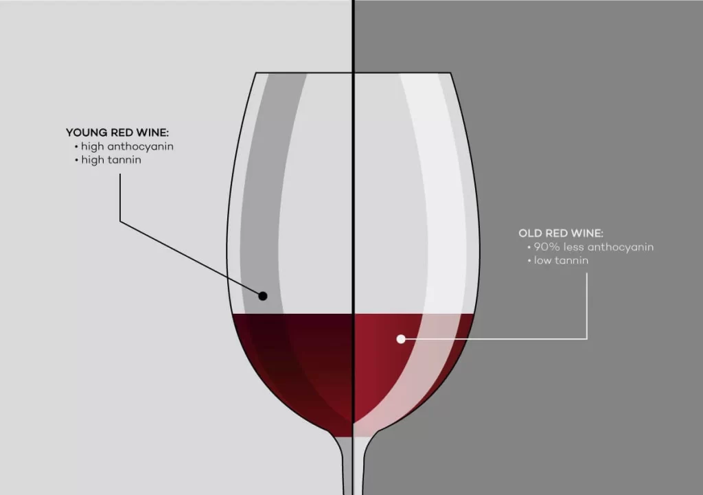 5 Ways to Distinguish a Good Red Wine: Unlocking the Secrets of Quality ...